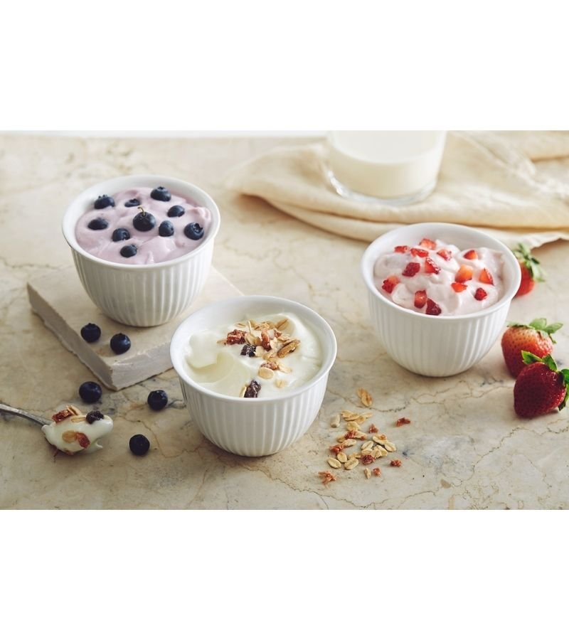 Yummy Yoghurt Raspberry - Lotus Food Services - F&B and Kitchen ...